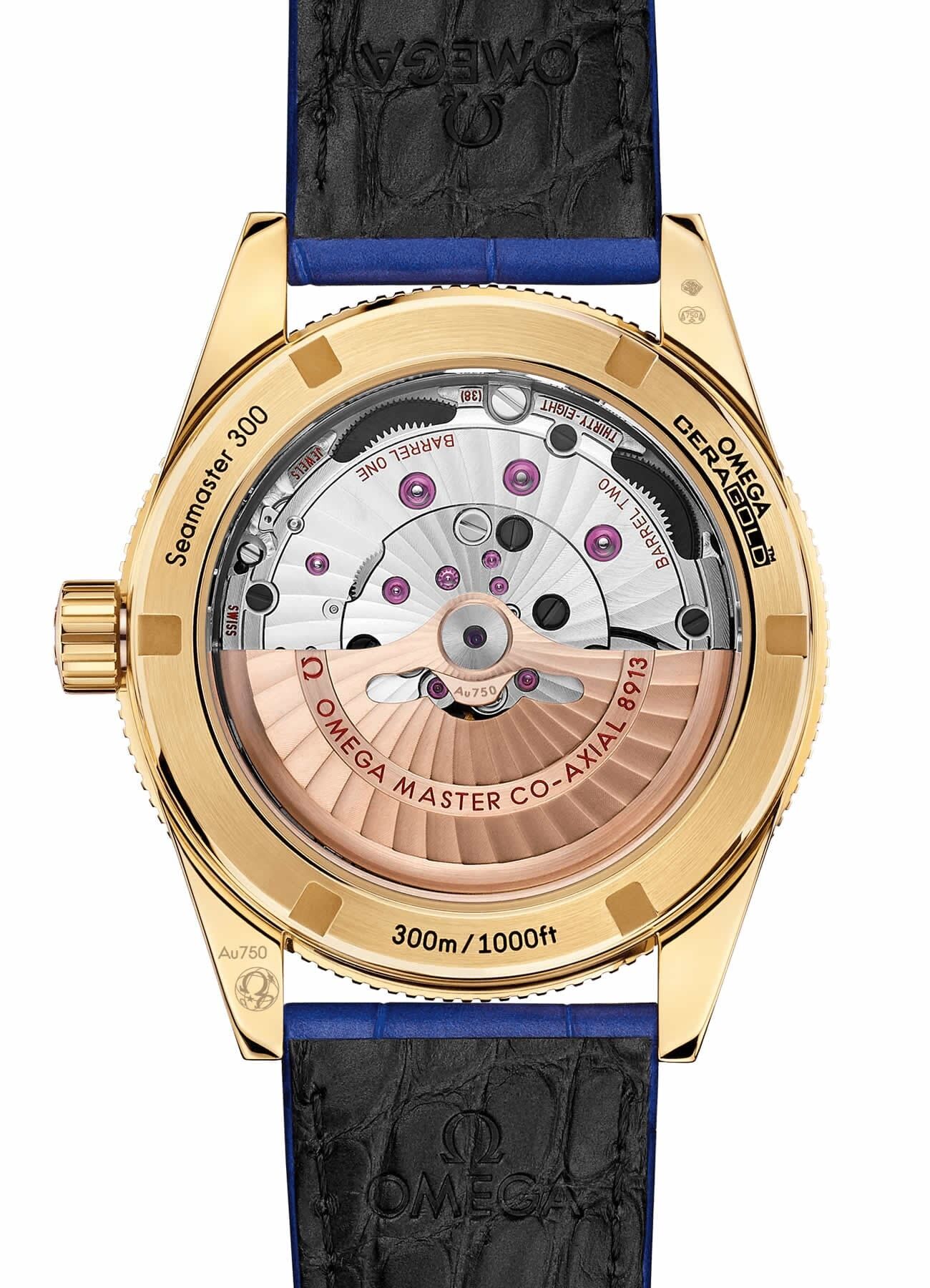 Omega Seamaster Yellow Gold Blue 41mm 234.63.41.21.99.002