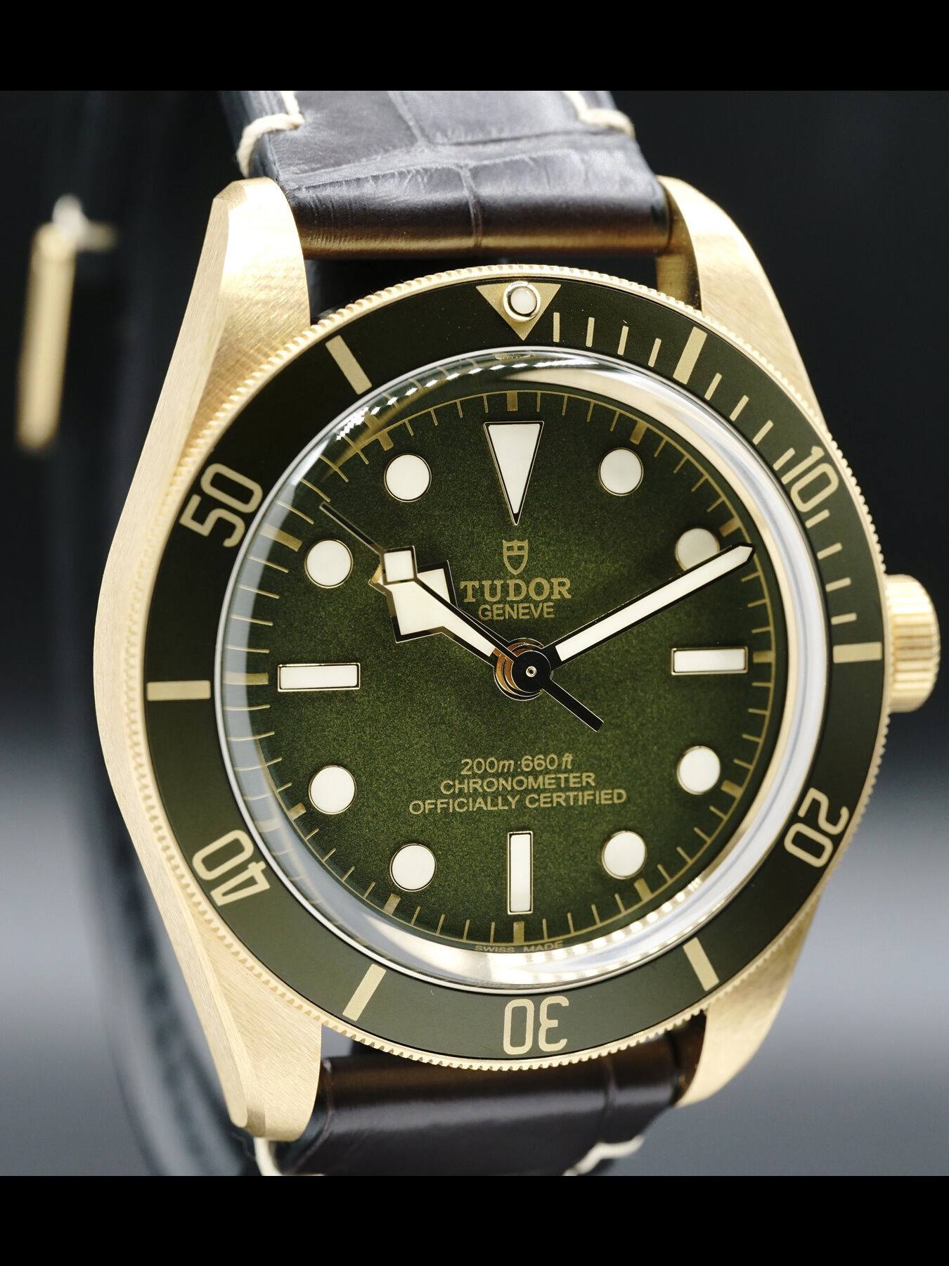 Tudor Yellow Gold Black Bay 79018V - Exquisite Timepieces